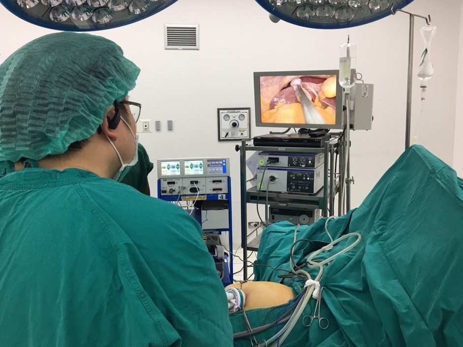 Single Incision Laparoscopic Surgery Sils Treating Surgical Diseases